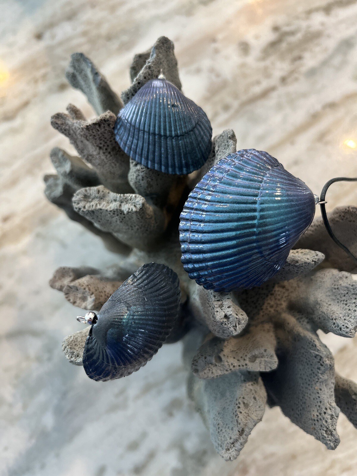 Ark Shell Cape Cod Shell Gold Dipped Pendant (Beach & Nautical Jewlery ...