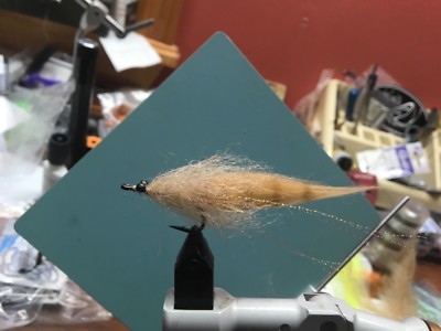 Wet - Snook Flies