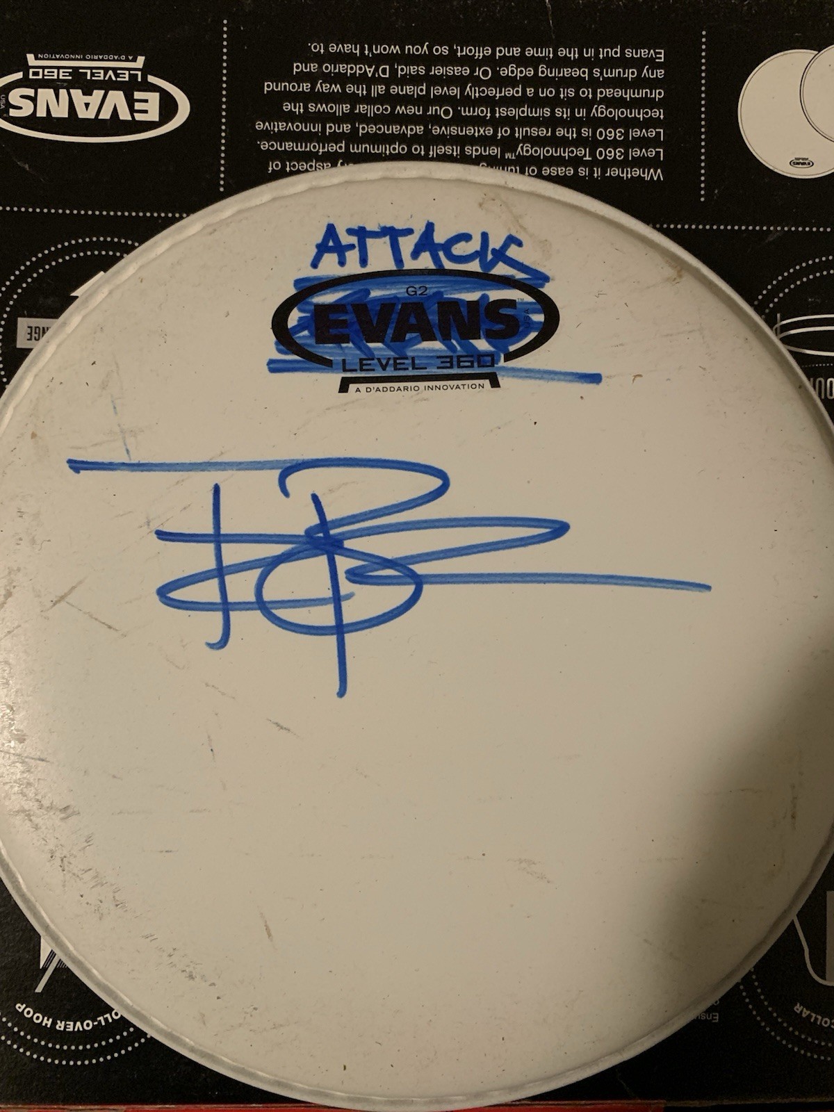 TERRY BOZZIO SIGNED Drum Head DRUMMER MISSING PERSONS FRANK | eBay