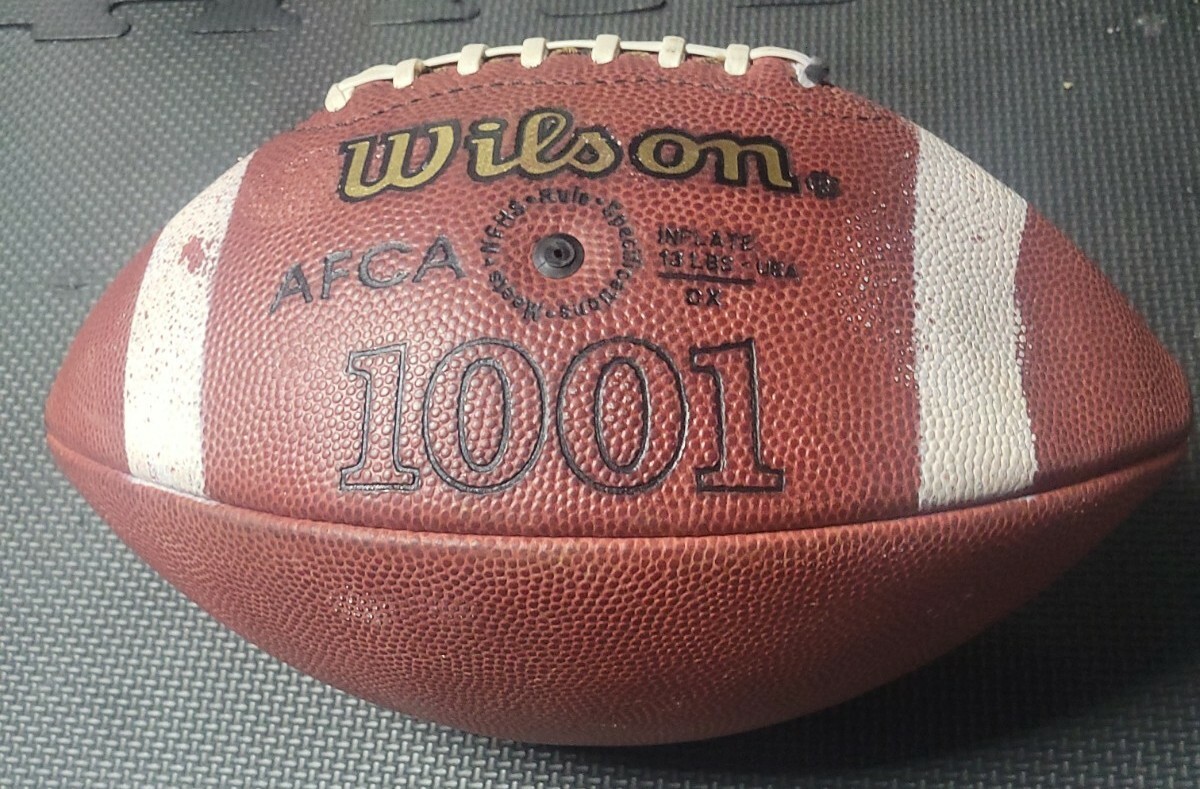 Southern University Wilson 1001 football | eBay