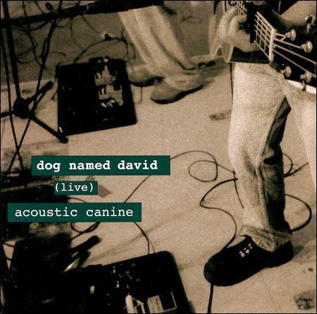 Acoustic Canine * by Dog Named David (CD, Sep-2000, Steel Sandal) for ...