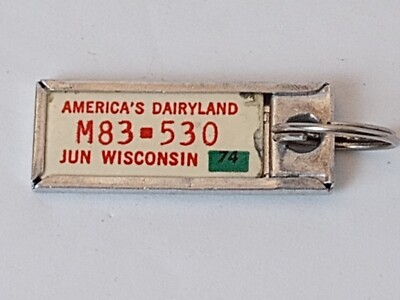 Disabled American Veterans Mini License Plate Wisconsin 1974 | eBay