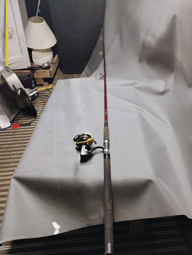 10" Daiwa graphite Apollo gold 1929H fishing pole And Penn 704Z ...