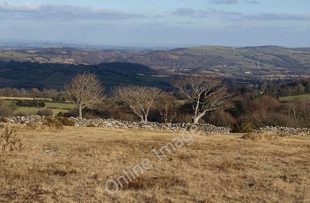 Photo 6x4 Trees near North Creaber Gidleigh Trees leaning out from the ...