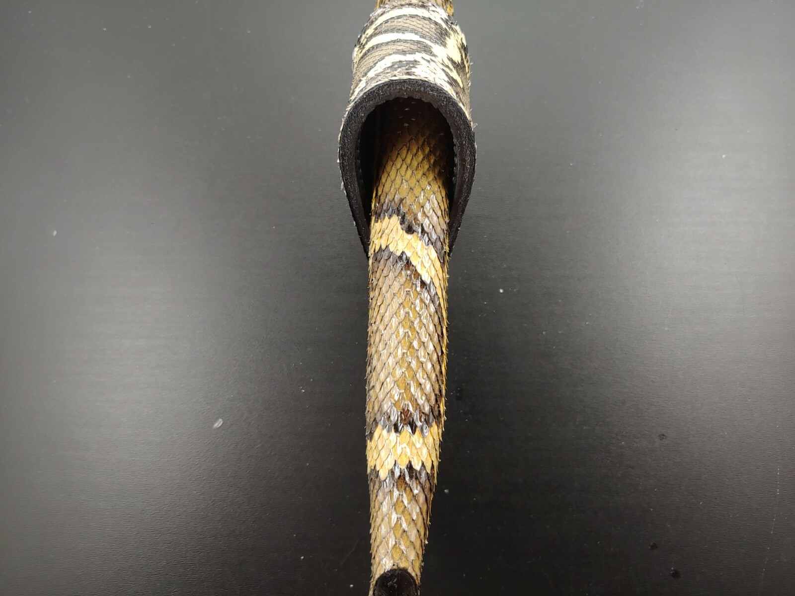 ESEE 3 RC 3 Cross Draw Hunting Sheath Burmese Python snake skin ...