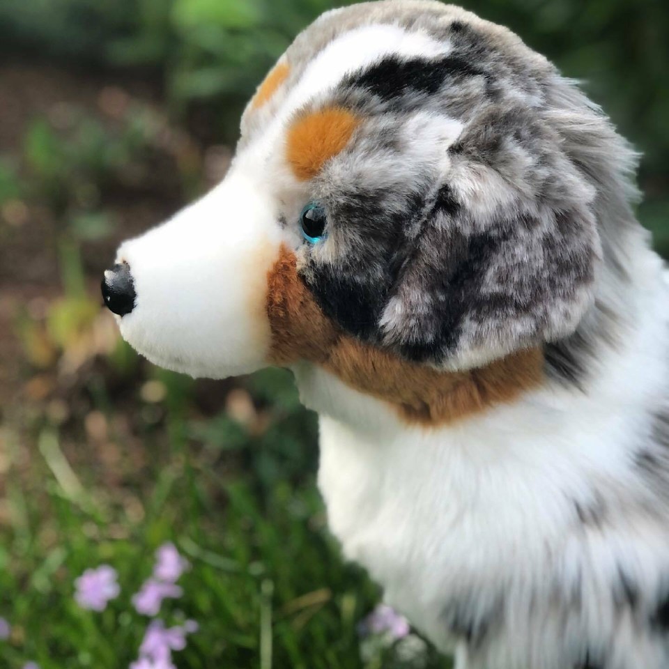 Auswella Plush Australian Shepherd Plush Stuffed Animal | eBay