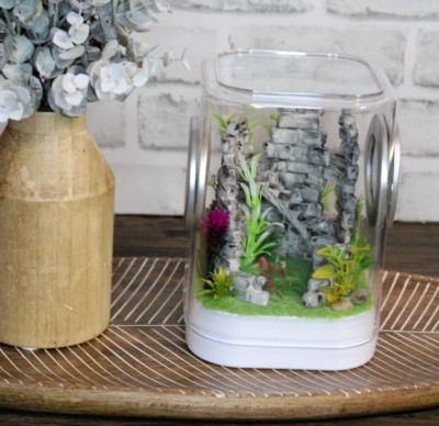 Jumping Spider Enclosure, Insect Terrarium, Bug Enclosure, Spider Cage ...