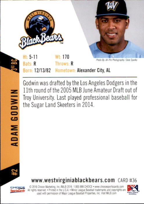 Adam Godwin Tattoos Tattoo Studio Swindon, Wiltshire | S Line Studios