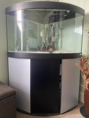 Corner Fish Tank With Filter | eBay UK