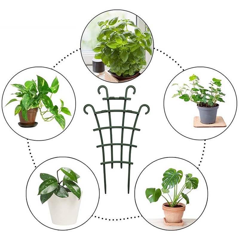 2Pcs Mini Garden Growing Plant Climbing Shelf Vegetables Flowers ...