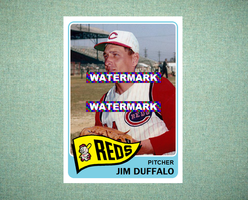 Jim Duffalo Cincinnati Reds 1965 Style Custom Baseball Art Card | eBay