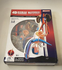 4d Master Human Male Reproductive and Urinary System Anatomy Model for ...