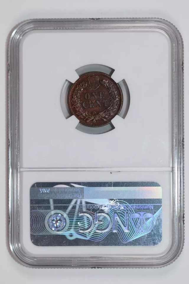 1894 PROOF INDIAN CENT NGC PR63 BN - NICE COLOR! | eBay