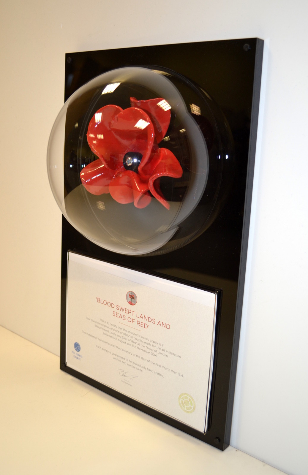 Wall Mounted Tower Of London Poppy Display Case - Unique Dome Design ...