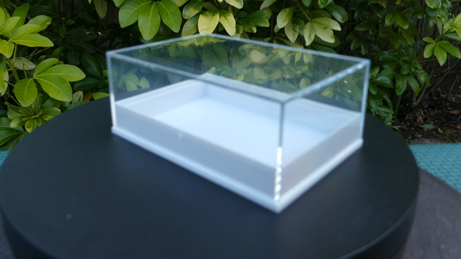 12 Perspex Clear Lid Specimen Display Boxes Shell Minerals Gems Fossil ...