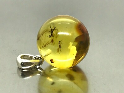 AMBER PENDANT 2 INSECTS Gift Round Bead BALTIC AMBER Silver 925 Insect ...