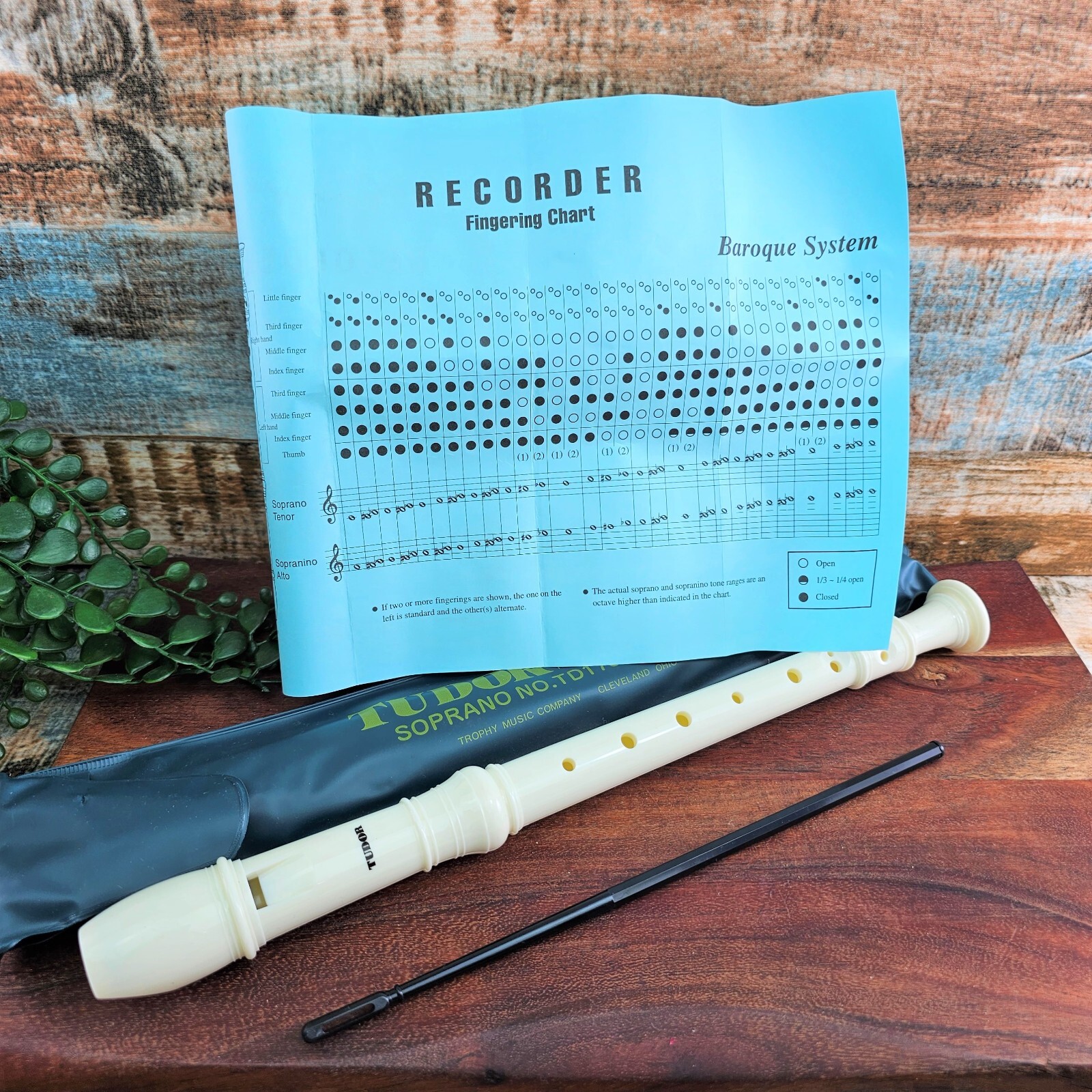 TUDOR TD175W Soprano Recorder Baroque Fingering (ivory Color) for sale ...