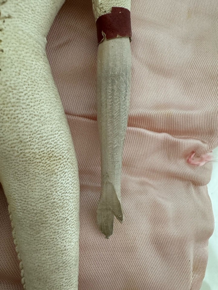 Rare 19th Century Antique 12.5” Paper Mache Milliners Model Doll Wood ...