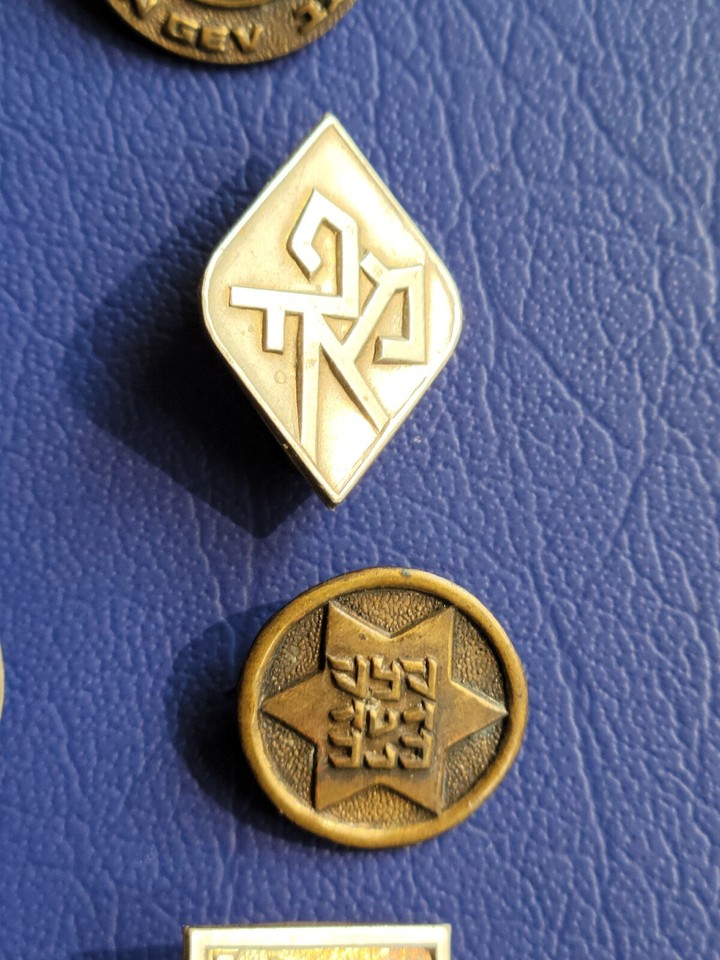 LARGE LOT OF RARE VINTAGE ISRAELI ZIONIST HEBREW PINS BADGES | eBay