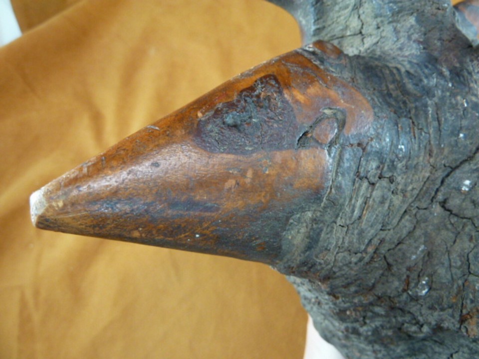 CLUB-13 Genuine Penobscot Native American Root club war weapon ...