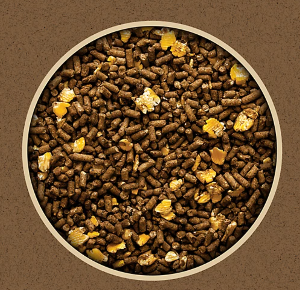 50Lb 12% All Stock Pelleted Feed for Mature Cattle,Sheep, Goats w Added ...