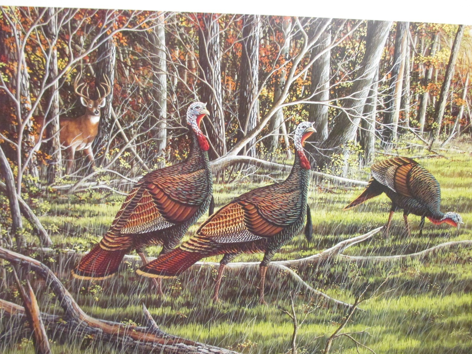 JAMES PARTEE JR Signed No. 2428 Limited Edition 1991 20 x 26 Wildlife ...