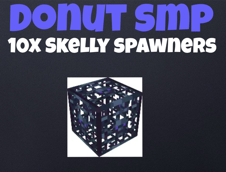 💎Donut SMP (donut smp) 💎 1-50x SkellySPAWNERS - Best Prices! | eBay