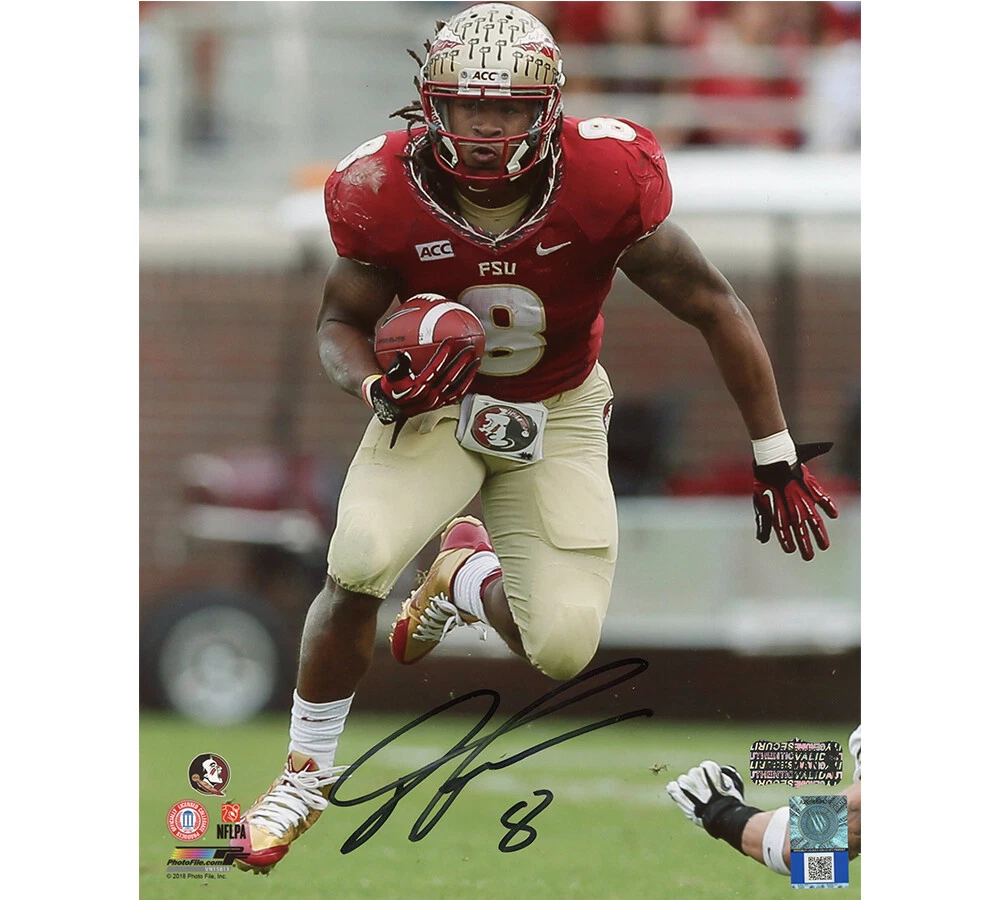 Devonta Freeman Fsu