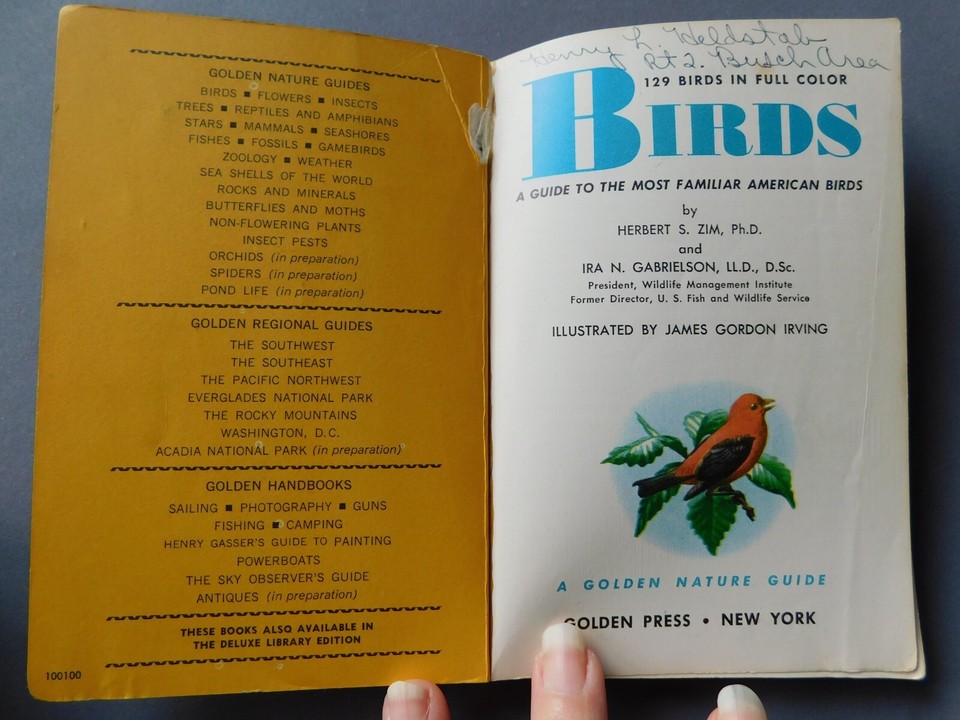 American Birds - A Golden Nature Guide - 1956 paperback | eBay