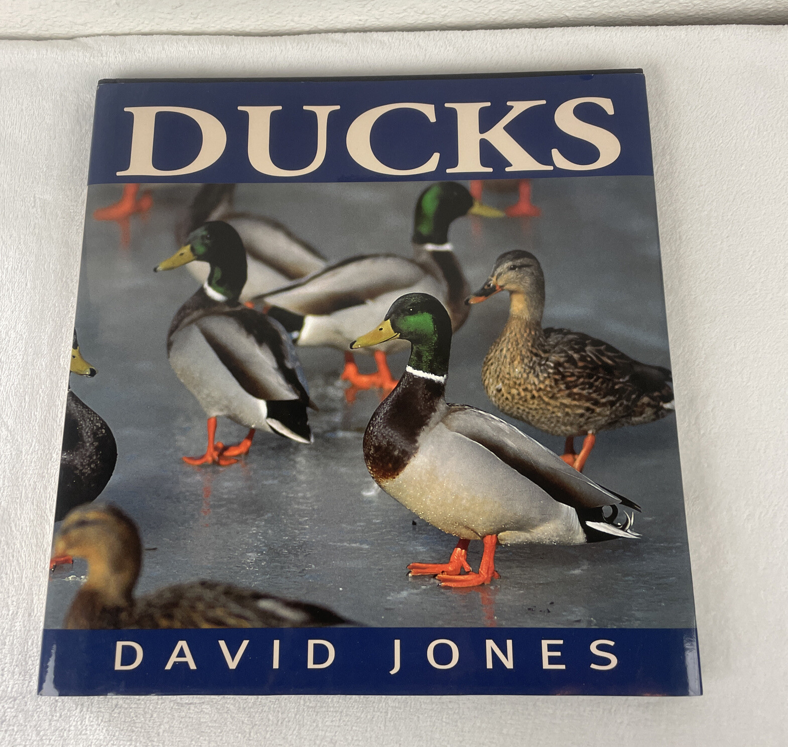 Ducks, David Jones, Whitecap Books, 1st Ed, 1998, Hardcover Book ...