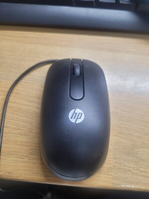 Genuine HP SM-2022 2- Button Ergonomic USB Optical Wired Mouse - Black ...