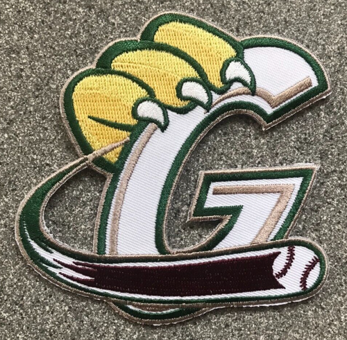 GARY SOUTHSHORE RAILCATS AAPB MINOR LEAGUE BASEBALL 3 5/8" ALT LOGO ...