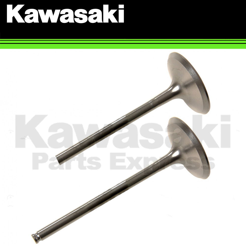NEW 2009 - 2016 GENUINE KAWASAKI KX 250 F KX250F INTAKE VALVES - 2 PACK ...