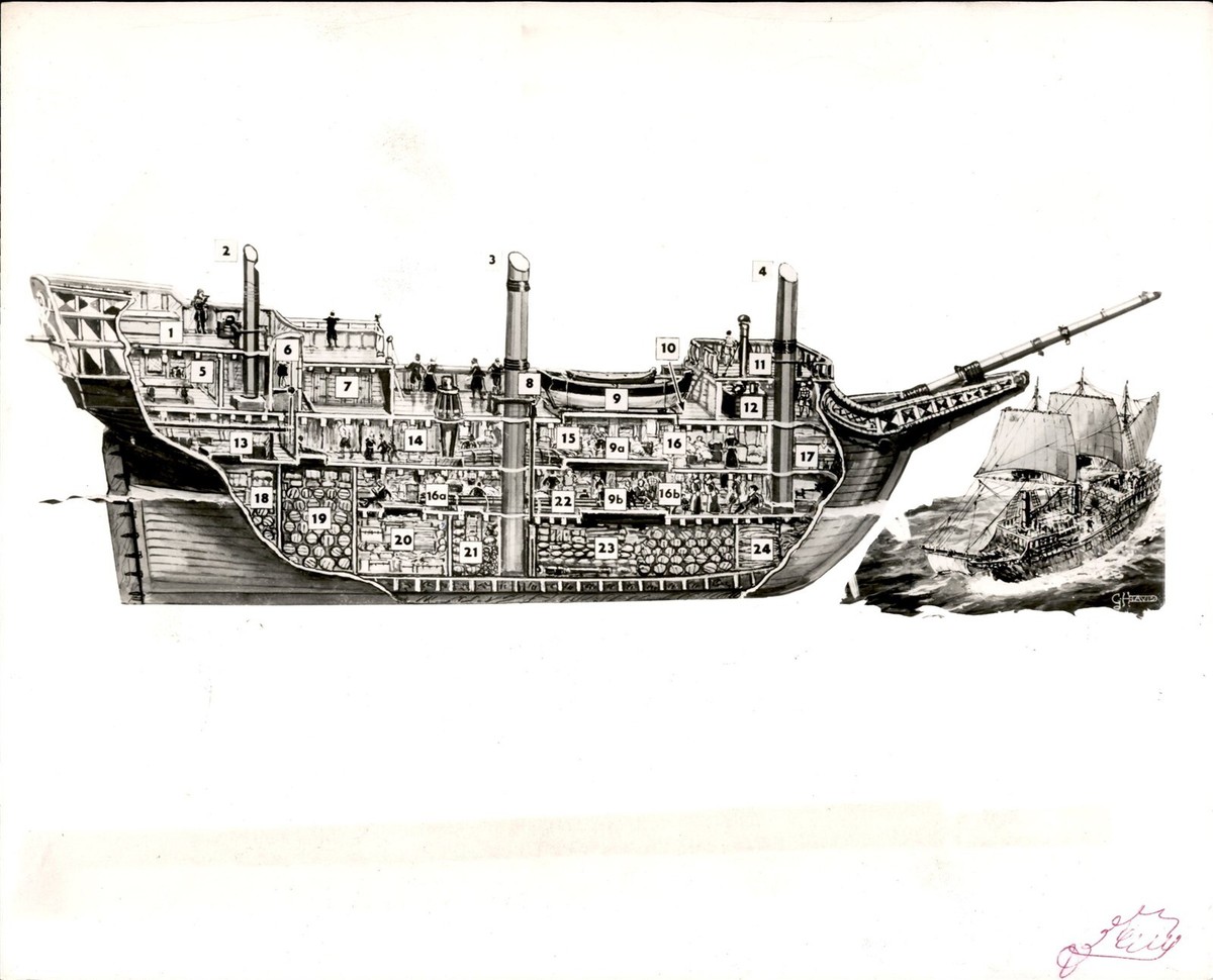 Diagram Of Mayflower Step Two Compare Contrast Ships Now Open The