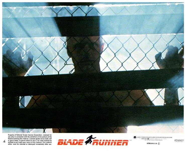 Blade Runner 1982 Original 8x10 Lobby Card Rutger Hauer Rare Ridley ...