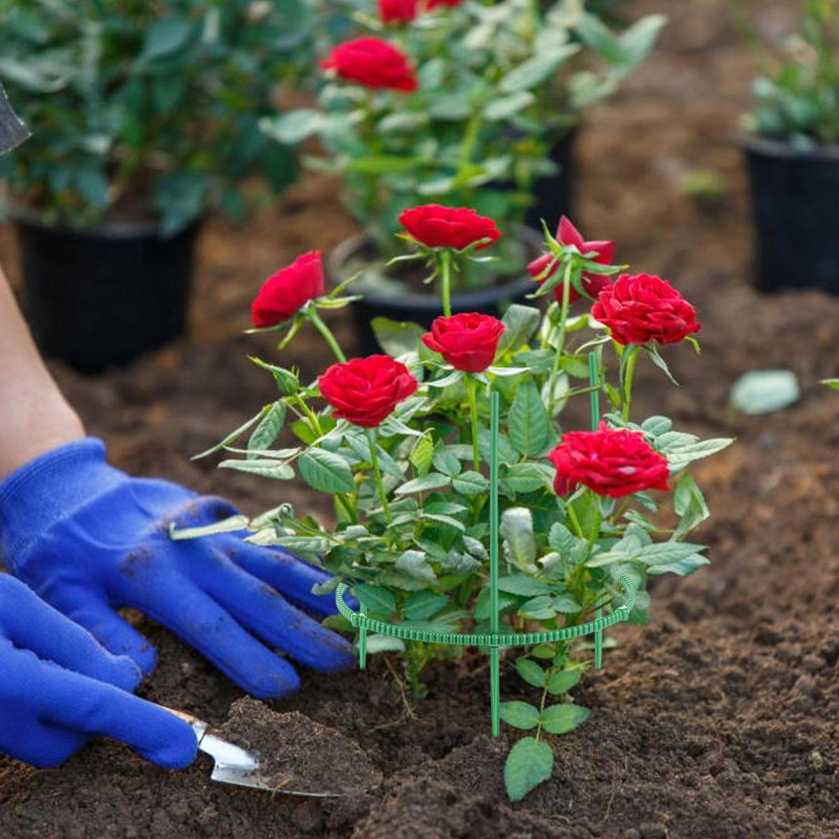 A Frame Vegetable Support