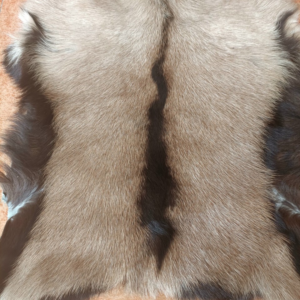 1 Piece Real Fur Skin Pelt Rug Goat Hide Tanned Leather Soft Clothing ...