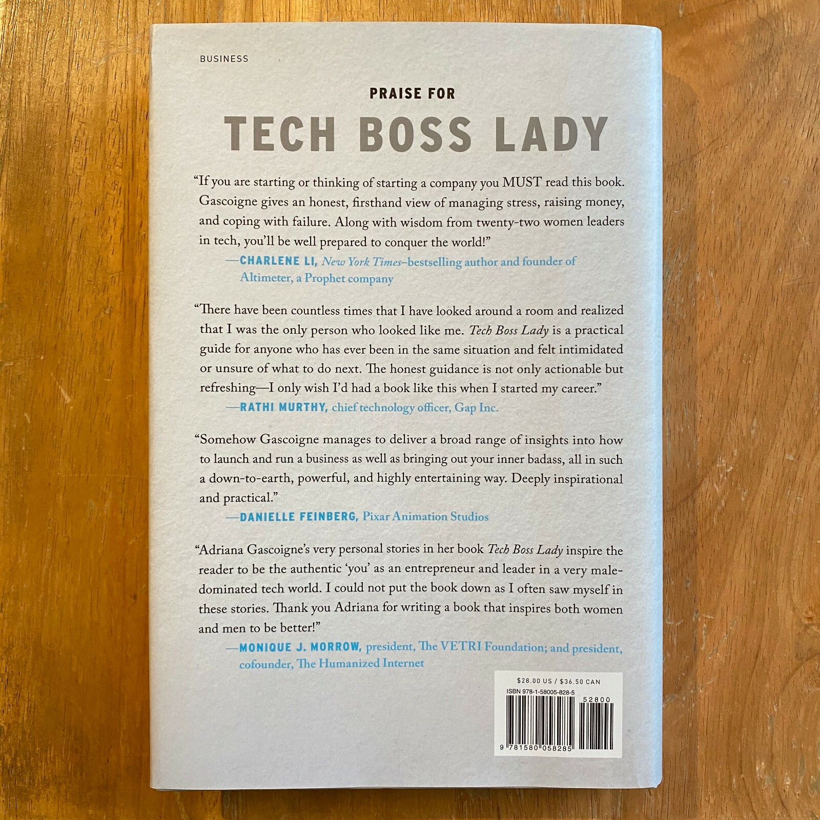 Tech Boss Lady: How to Start-Up, Disrupt, and Thrive as a Female ...