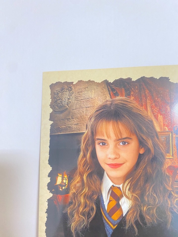 Hermione Granger Harry Potter and the Chamber of Secret Limited ...