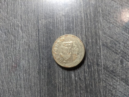 Discovery of Neanderthal skull in Gibraltar 1848. Very Rare 1 Pound ...