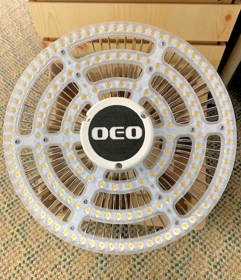 OEO EZ LED Super Hybrid-P-20K Commercial Light Bulb #03504 | eBay