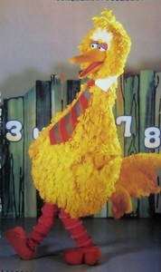 SESAME STREET clipping 1970s color photo Big Bird wearing neck-tie ...