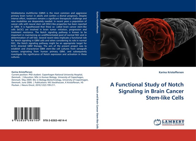 A Functional Study of Notch Signaling in Brain Cancer Stem-Like Cells ...