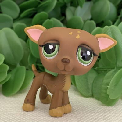 🐾 Littlest Pet Shop LPS #507 Greyhound Dog | eBay Australia