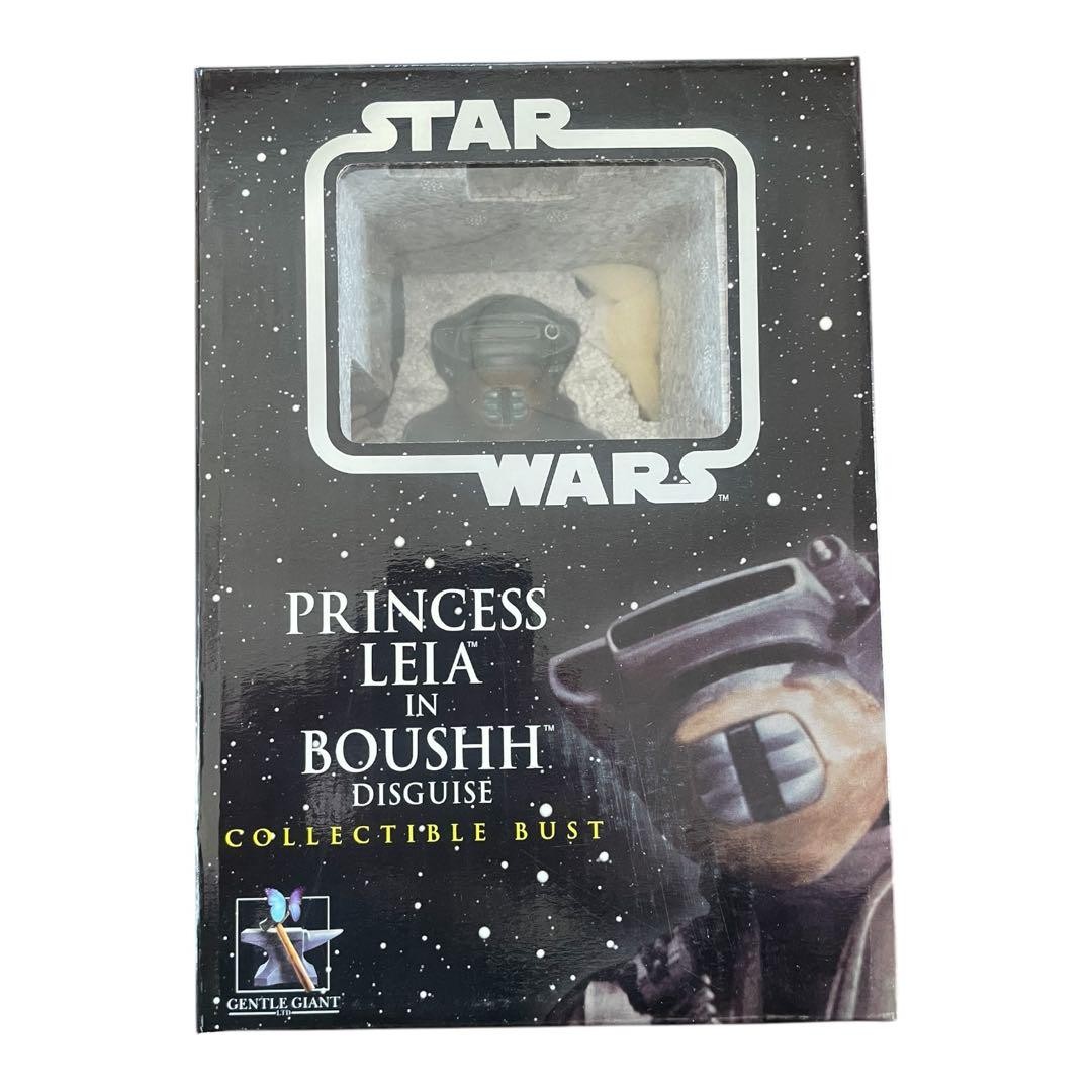 Princess Leia Episode 6