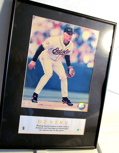 Cal Ripkin Photo Matted Nicely Framed 12"x16" w/2 MLB Authentication ...