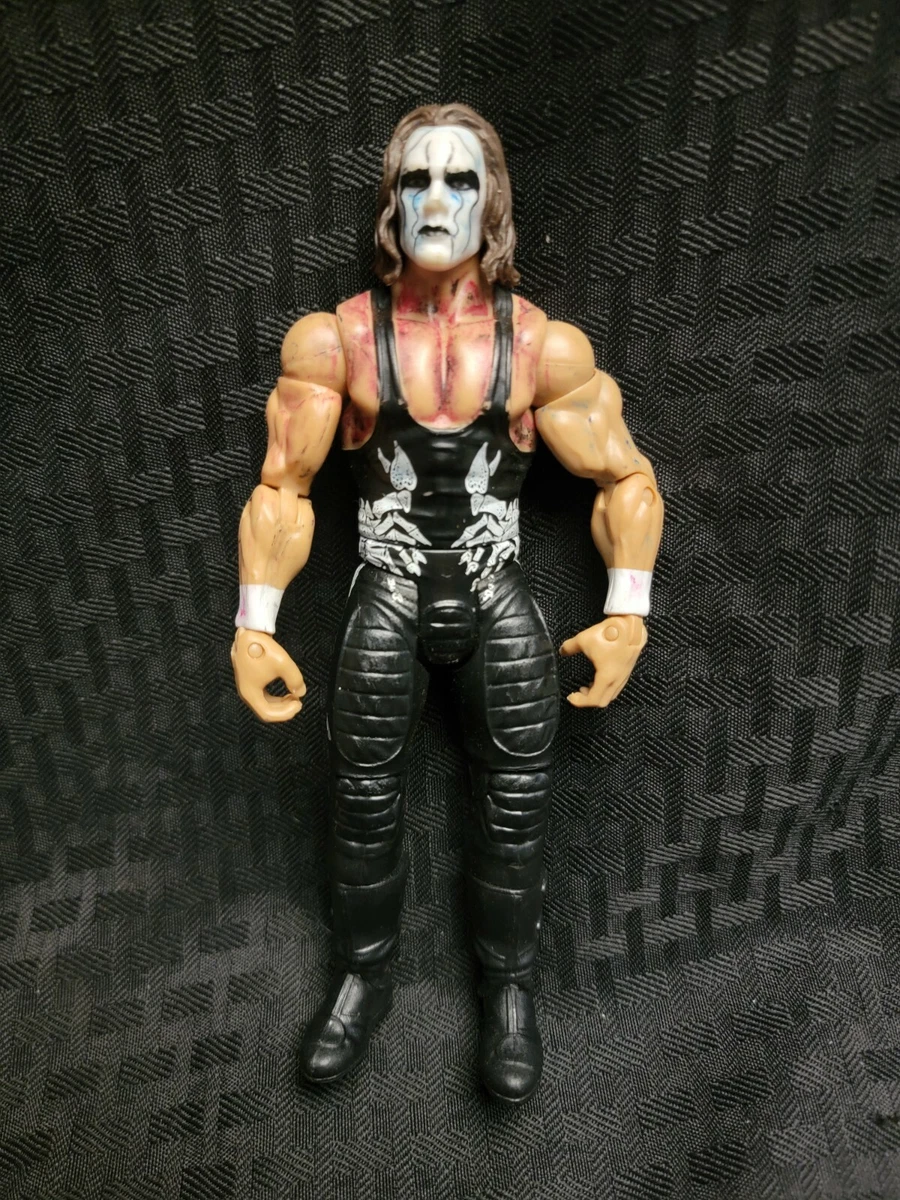 Wcw Sting The Crow Years