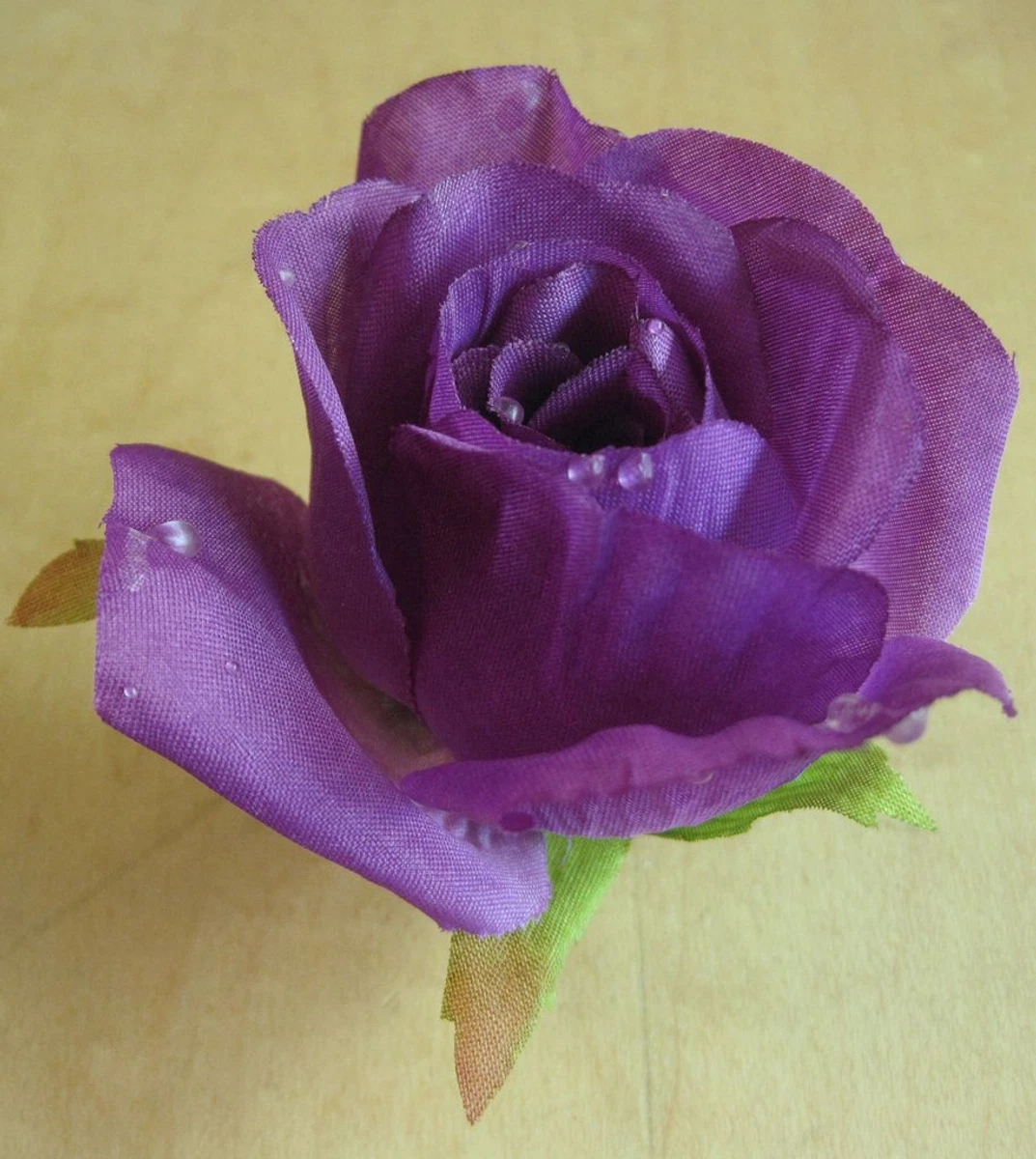 Purple Haze Rose