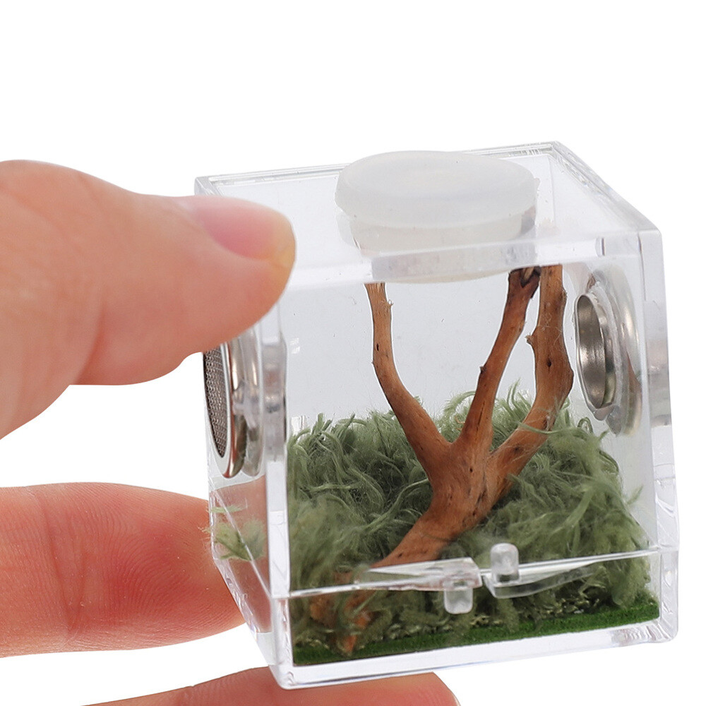 Jumping Spider Breeding Box Cage Habitat Reptisoil Pet Animal | eBay