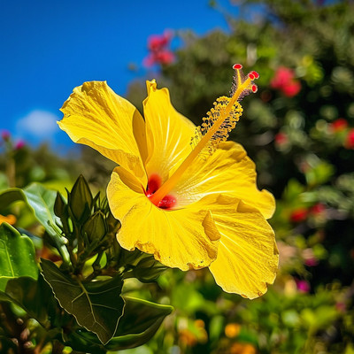 5D Diamond Painting Yellow Hibiscus Flower Kit | eBay